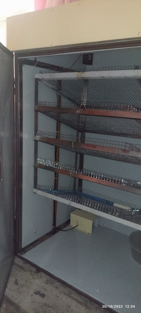 Inkubator 1000 talik