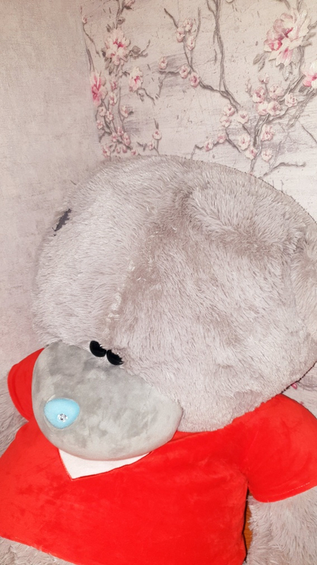 Teddy мягкая игрушка