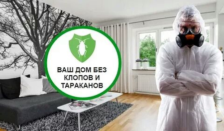 Дезинфекция дезинфекция