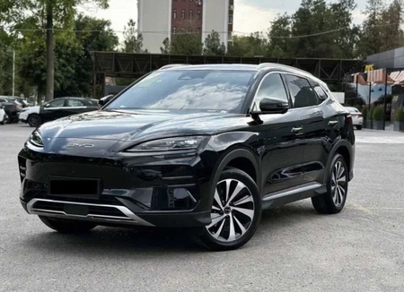 BYD song chimpion