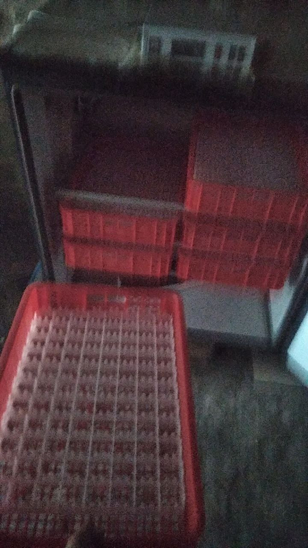 Chil jangi inkuvatir