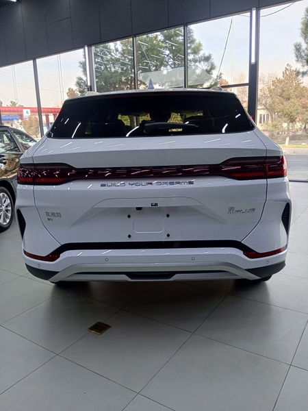 Byd song Champion 2024