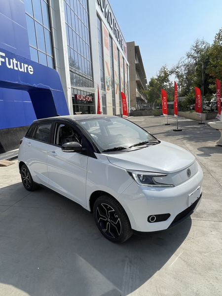 Young L400 electro car