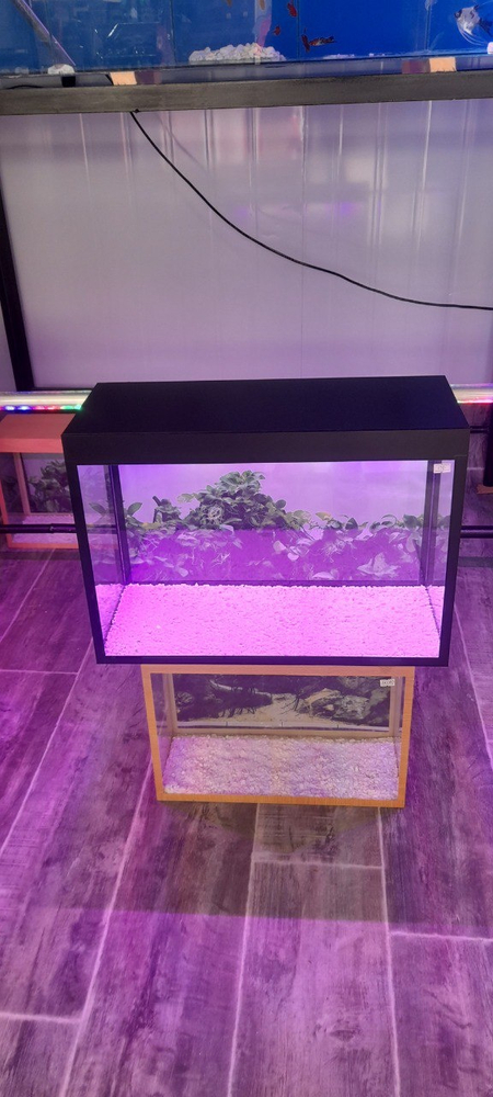 Продаются аквариум новый Akvarium yangi