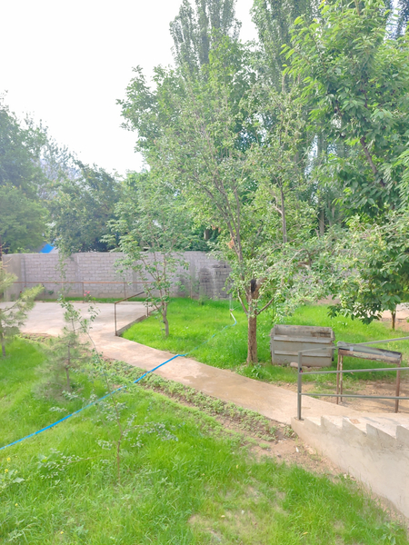 Дача в Бричмулле (burchmulla dacha bor)