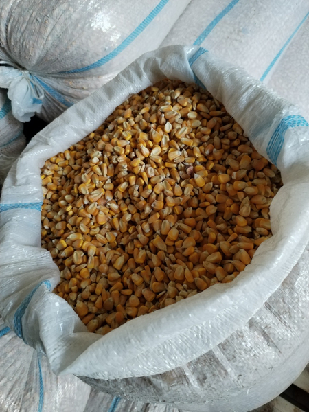 Quruq makka sotiladi