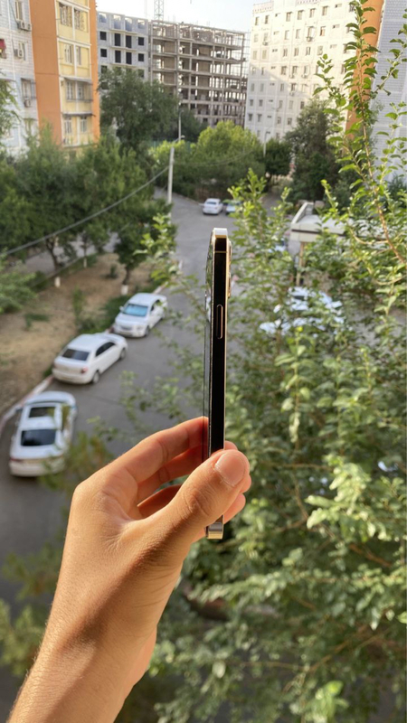 iPhone 12 Pro Max