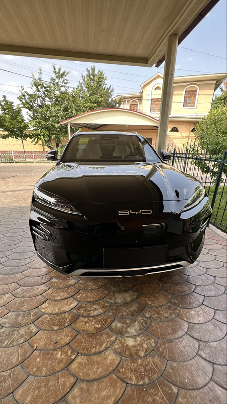 BYD Song Plus Champion 2024
