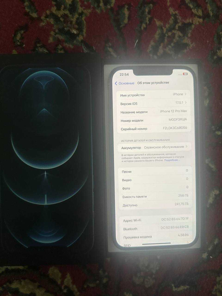 Iphone 12 Pro Max 256Gb