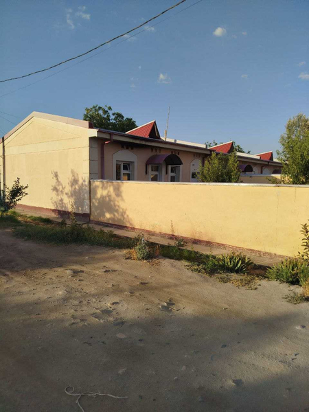 Shrederda kotej sotiladi.