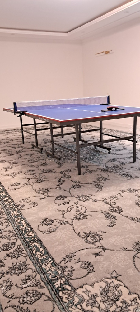 Stol tennis; ping pong