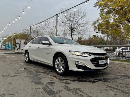 Arenda Malibu 2 premier