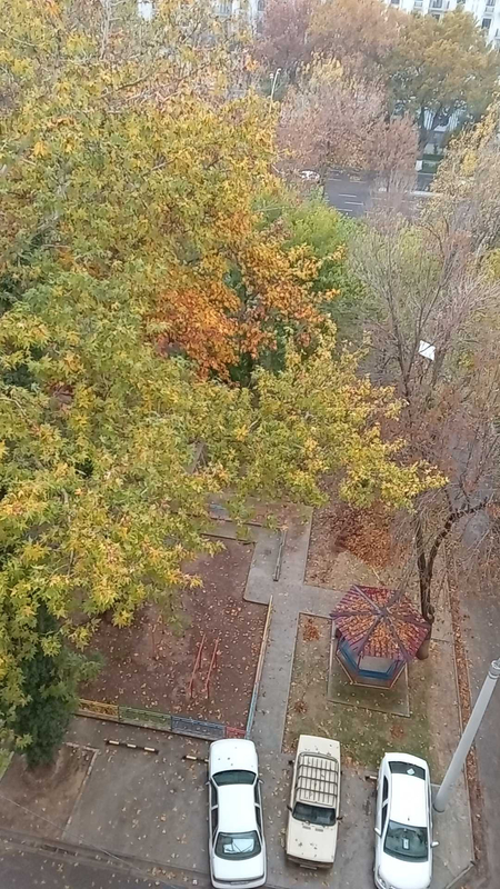 Сдам комнату (1 хона)в центре,недорого