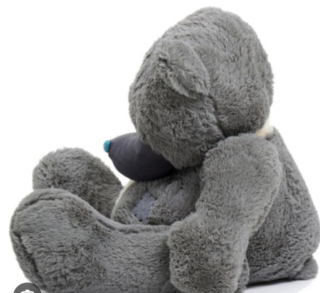 Teddy ayiq. Eng kattasi
