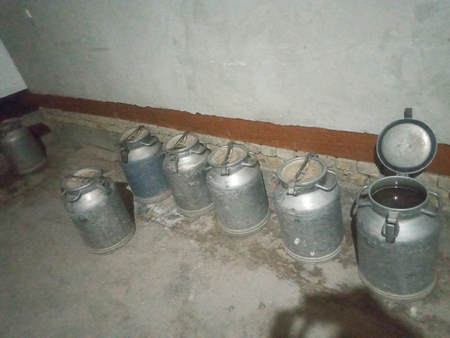 ASAL SOTILADI KILOSI 70000 toza halol