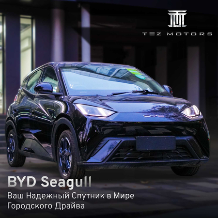 BYD Seagull fly 2023