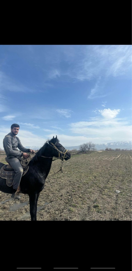Toy sotiladi erkak
