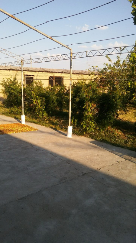 Продается земля. 撒马尔罕出售土地