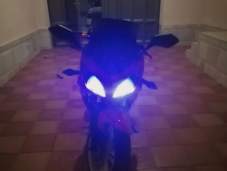 Kawasaki monster 250cc 6skorst