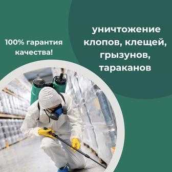 Дезинфекция в Ташкенте