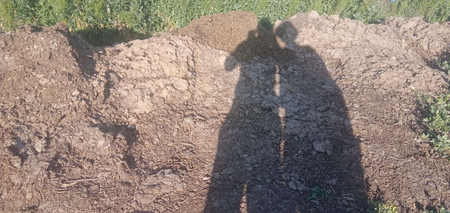 Мол нури сотилади.