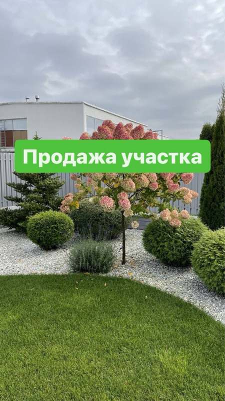 Продается участок рядом с Alfraganus.4.4 сотки