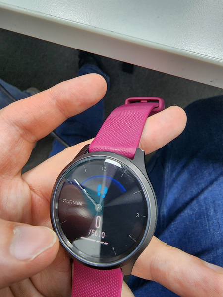 Garmin vivomove style