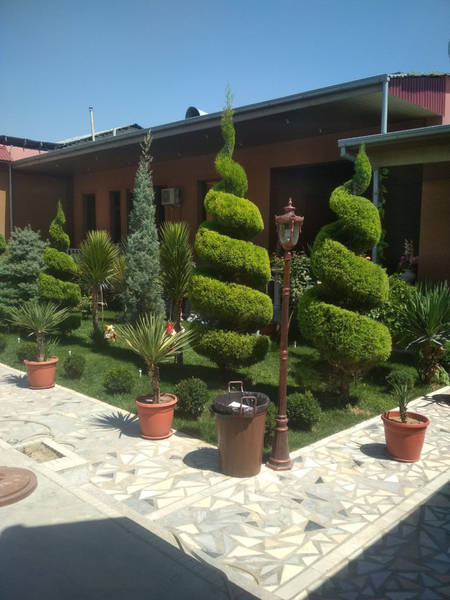 Gazon va mikrokliment