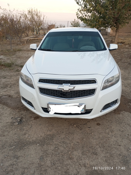 Malibu 1 1pozitsiya