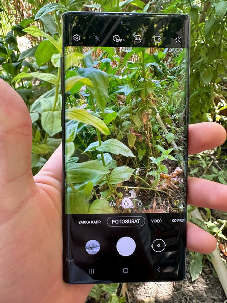Samsung not 10 5g