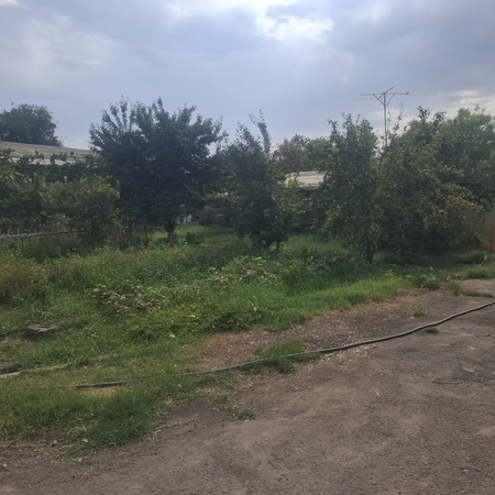 Aniq olish niyati borla iloji bo'lsa telefon qisin