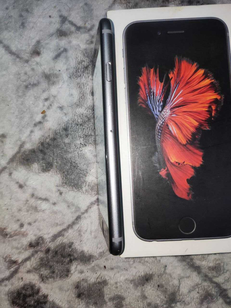 iphone 6s umuman usta kormagan