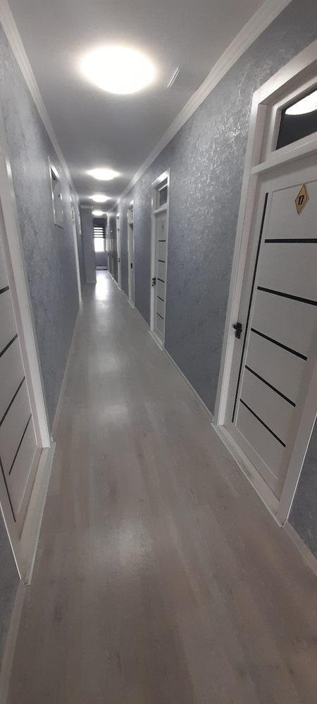 HOSTEL markazda joylashgan