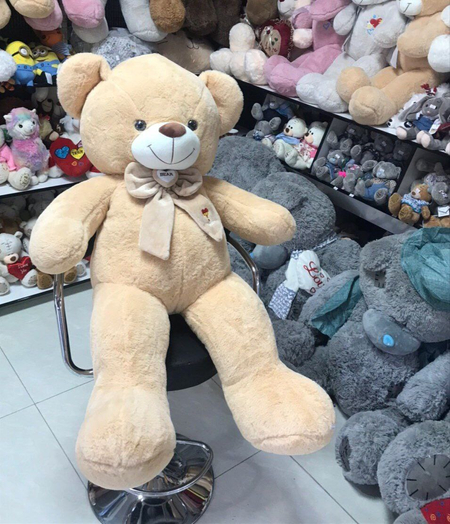 Teddy va boshqa yumshoq oʻyinchoqlar