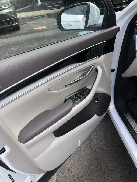 Byd song plus Champion restyling 2025