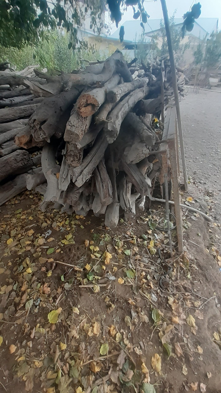 Курук отин сотилади