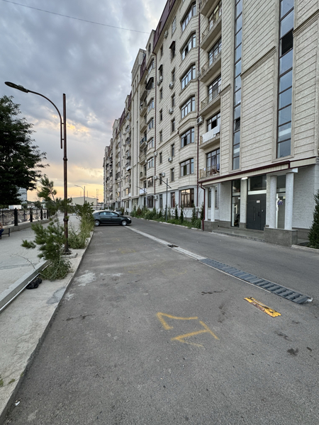 Olmazor tumani, Qora qamish 1/4