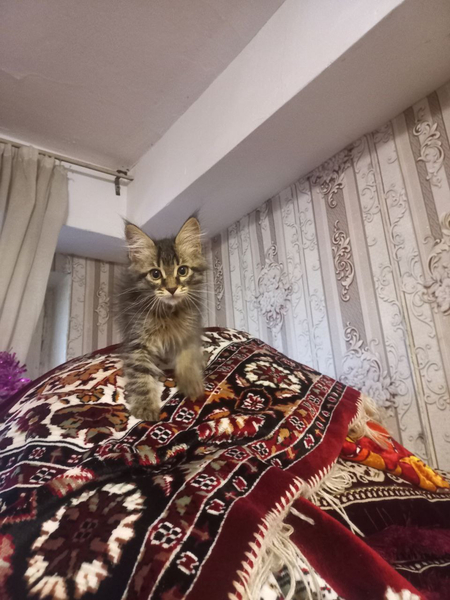 Малыш ждет своего человека