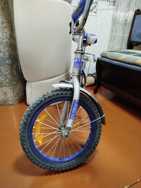 Velosiped Ukraina 16