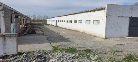 Ferma /mol sigir ferma/Baliqxona