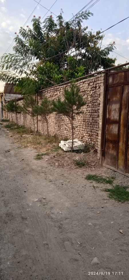 Xovli uy 6 sutix.sutixi