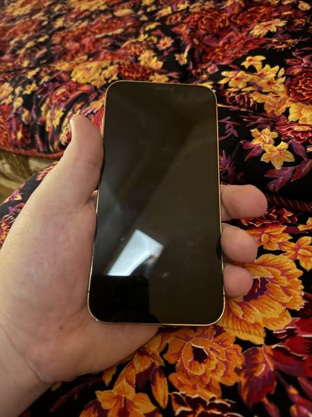 IPhone 12 Pro max 128gb Turbo sim