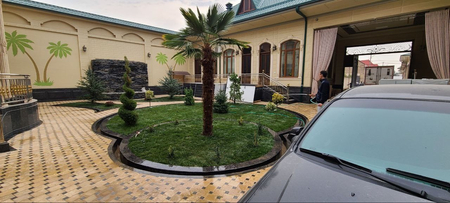 Gazon Ekish Xizmati Kelishilgan Holda