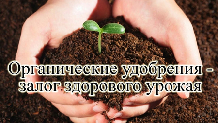Калифарния кизил ёмґир чувалчанги сотилади  зичлиги а'ло килиб берамиз