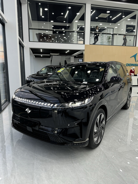 Dongfeng ep 008  v nalichida
