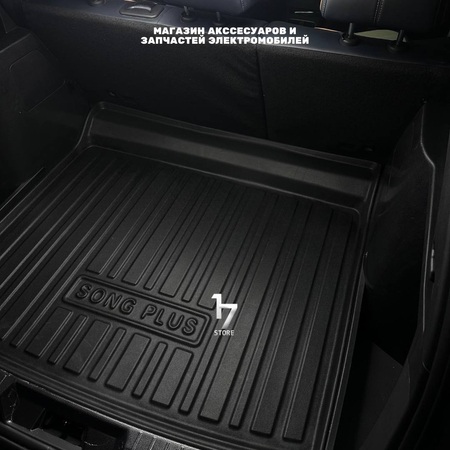 BYD moldelari uchun bagaj poliklar