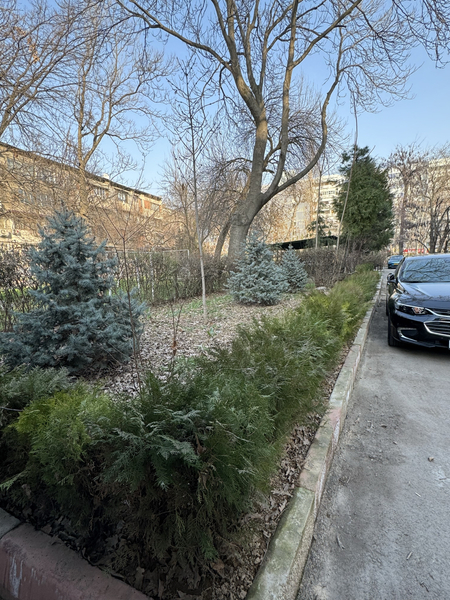 Продается квартира в самом центре города (Ц-1), (4/2/4)