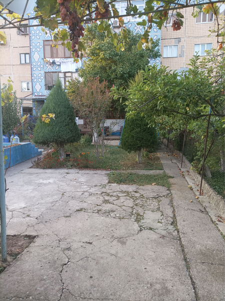 Квартира на Чарваке с видом на платину. 1 этаж 3 квартиры 2+2+3 ком.