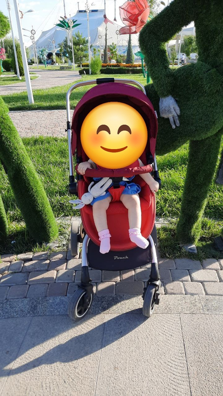 Своя детская коляска фирмы Pouch