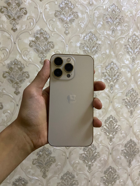 Iphone 13 pro ideal